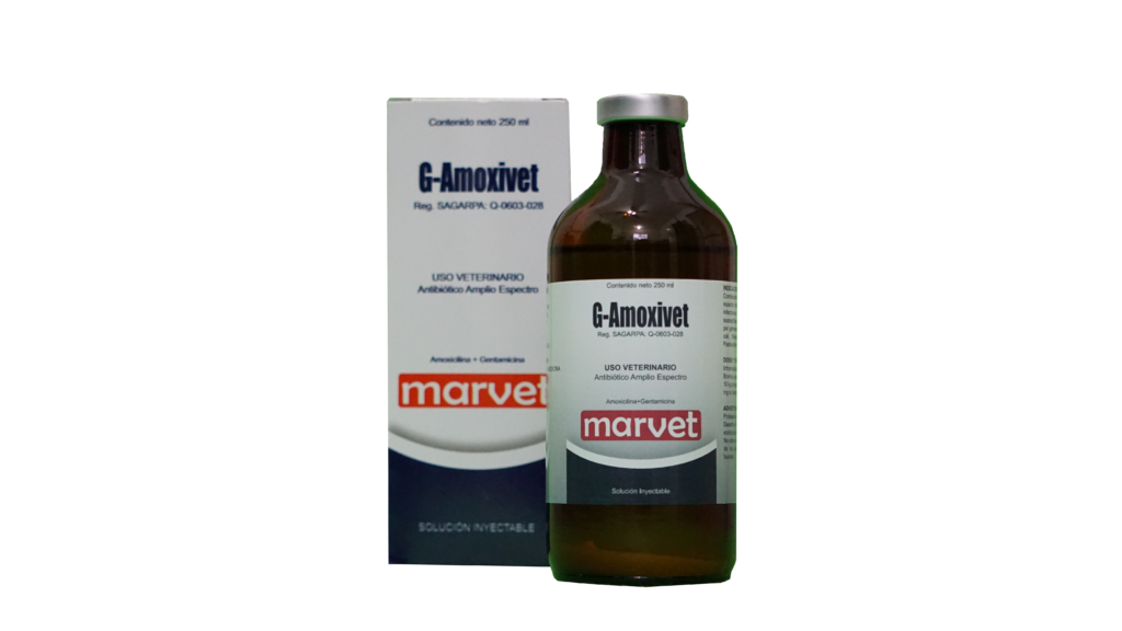 Marvet G-Amoxivet 250 ML - SEMEVET